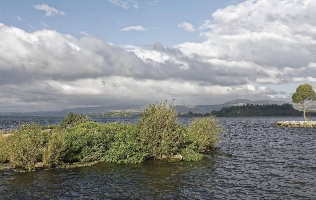 Best Things to Do in Rotorua - Info, Safety, and More